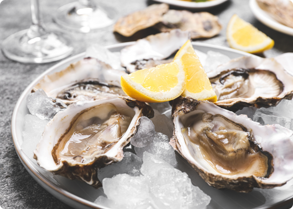 Original Skiff - Vermont Restaurant - Hotel Champlain Burlington